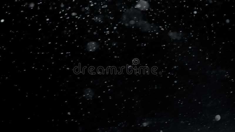 Snow Falling Sideways To the Left in Front of a Black Screen Stock ...