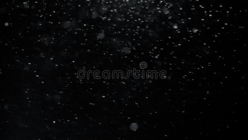 Snow Falling Sideways To the Right in Front of a Black Screen Stock ...