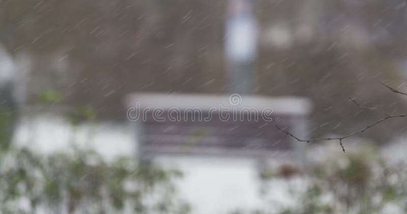 Snow Falling in Slow Motion with Blurred Trees on Background Stock ...