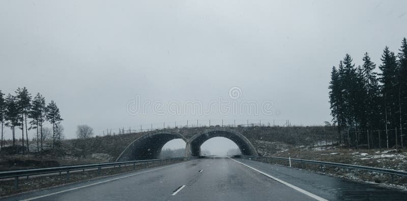 Snow Falling on a Spring Day Stock Photo - Image of falling, fence ...