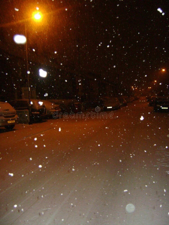 Snow falling in night stock image. Image of night, snow - 116366305