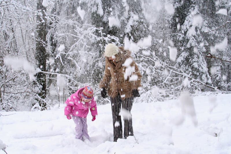 Snow falling from trees stock image. Image of peaceful - 6627895