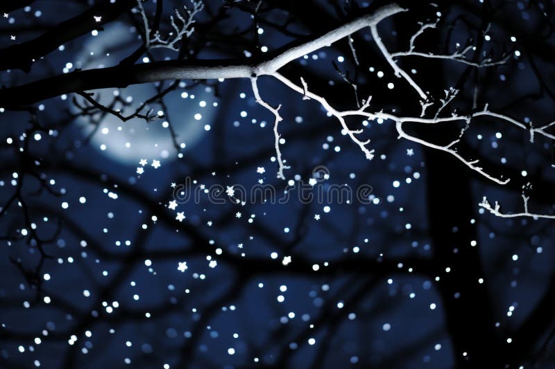 Snow Falling on Trees and Branches at Night Stock Illustration ...