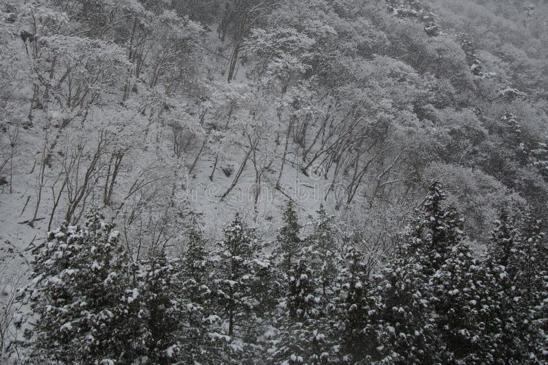 Snow Falls in Japanese Mountains Under Cloudy Sky Stock Photo - Image ...