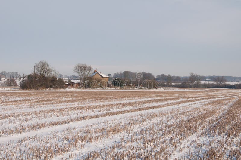 Snow farm stock image. Image of england, field, essex - 21707471