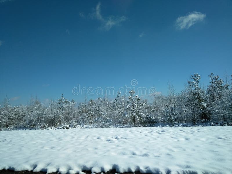 Snow in February stock photo. Image of snowyfriday, funday - 177880846