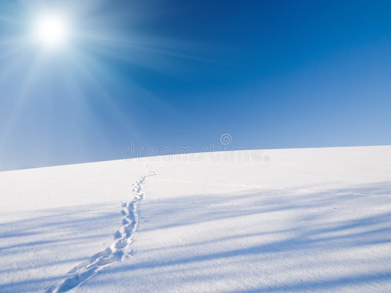 Snow field stock image. Image of landscape, white, cold - 11182405