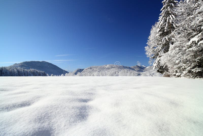 Snow field stock image. Image of beauty, environment - 23281133