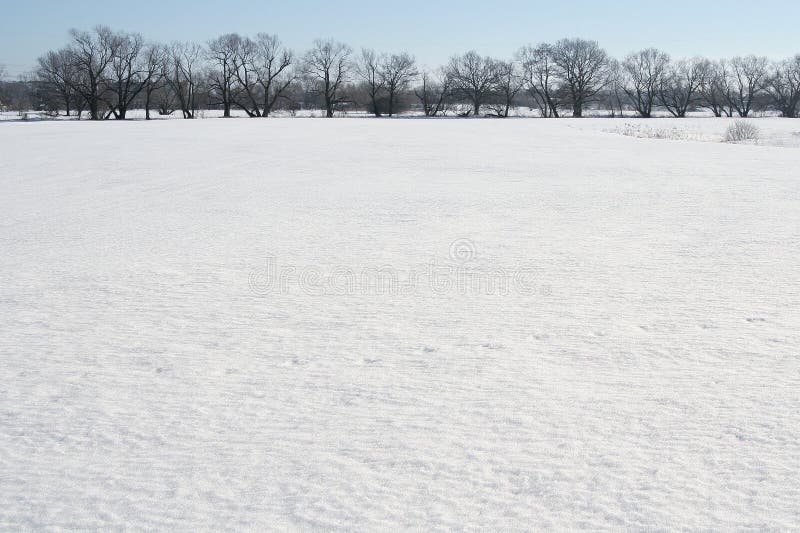 Snow field stock image. Image of cold, trees, winter, snowy - 523569