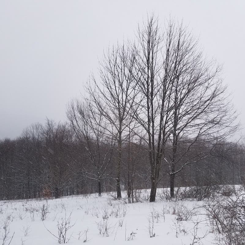 Snow on the field stock photo. Image of hill, field - 161295698