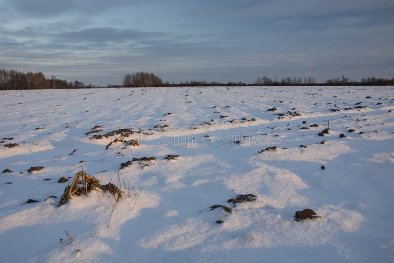 Snow in the Field and Evening Sky Stock Image - Image of weather, cloud ...