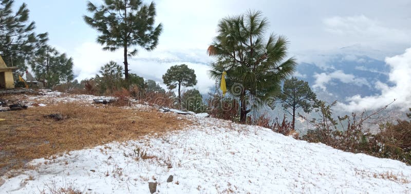Snow, Snow Field, Pine Trees, Cloudy Sky,clouds, Stock Image - Image of ...