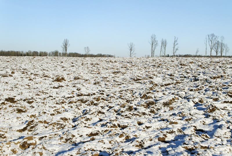 Snow on the field. stock image. Image of organic, agricultural - 37143989