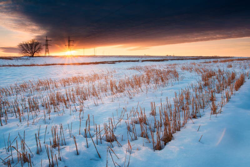 Snow in the Field at Sunset. Winter Landscape Stock Image - Image of ...