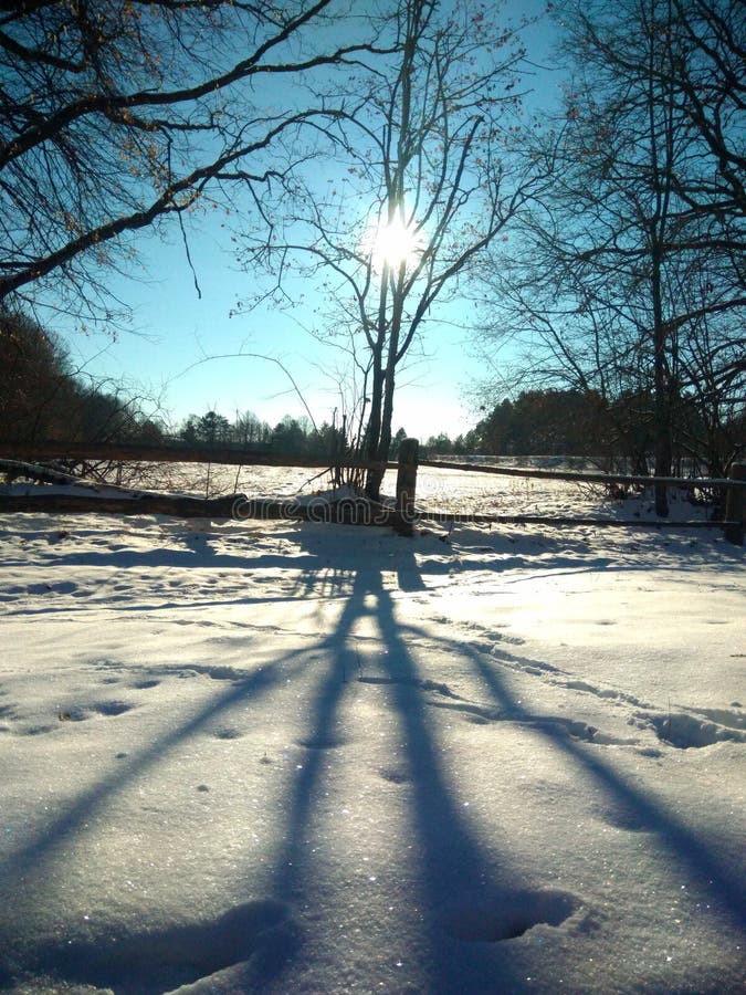 Bitter Cold Aperitif Drink with Ice Lemon and Oliva Stock Photo - Image ...