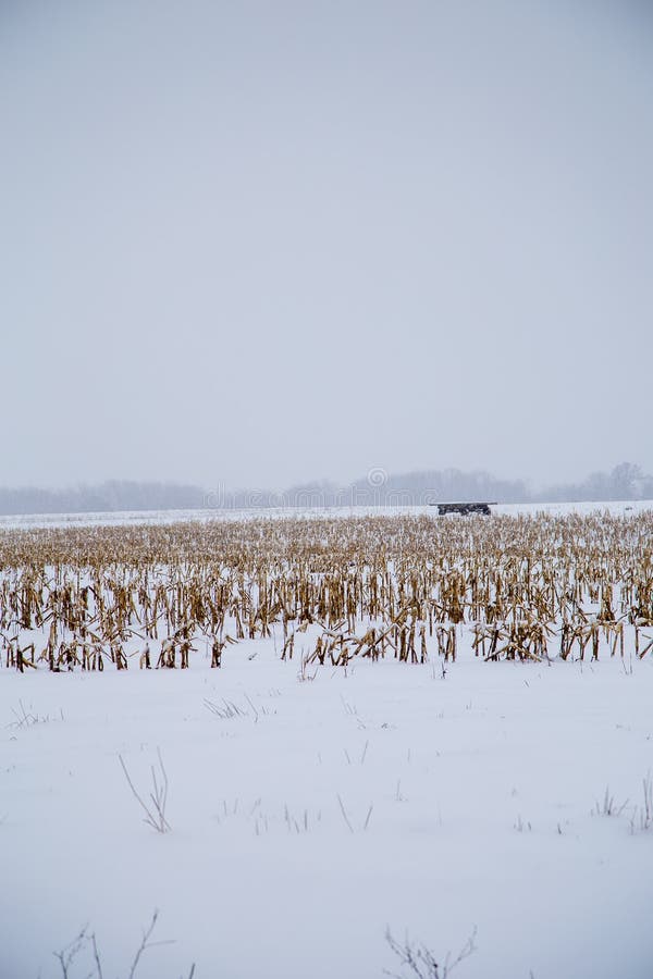 A Snow Fields on a Small Farm Stock Image - Image of covering, small ...