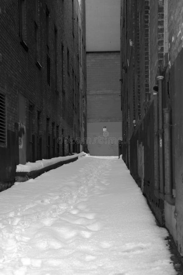 Snow Filled Alley Picture. Image: 5005756