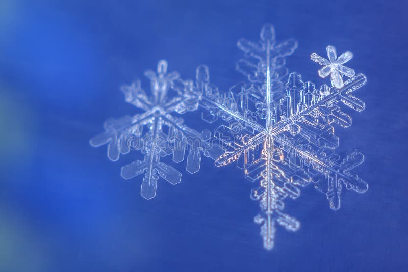 Snow Flakes On Blue Background Stock Photo - Image of background ...