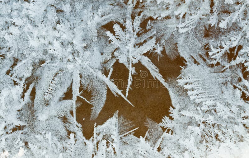 Snow flowers stock image. Image of abstract, flowers - 18196547
