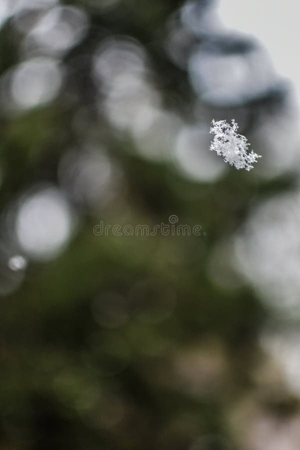 Snow-flurry stock photo. Image of away, shot, flurry - 46993512