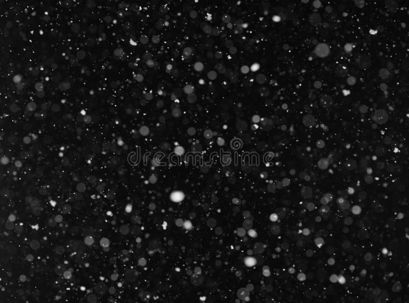 Snow. Flying Dust Particles on a Black Stock Image - Image of glitter ...