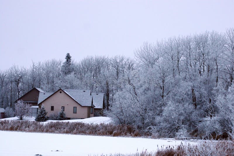 Snow and Fog stock image. Image of freezing, blizzard - 64945875