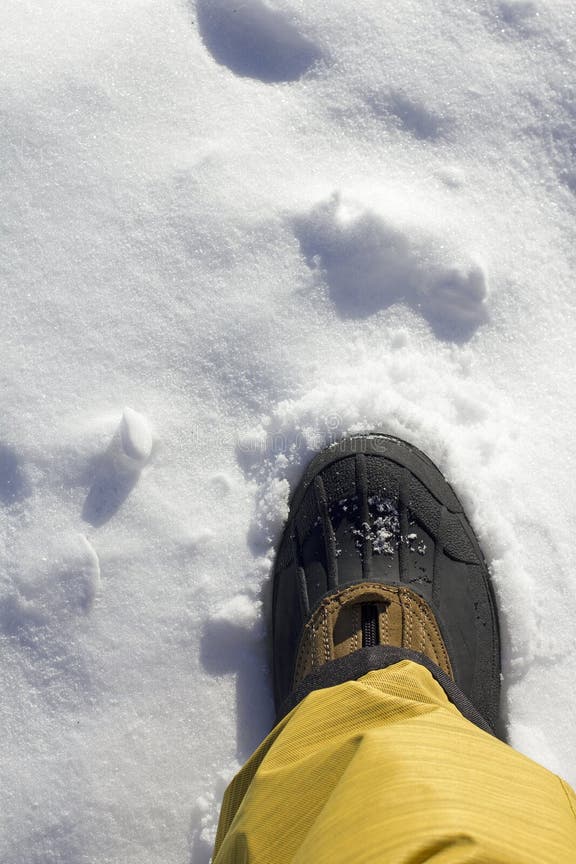 Snow foot stock image. Image of weather, black, closeup - 28584839