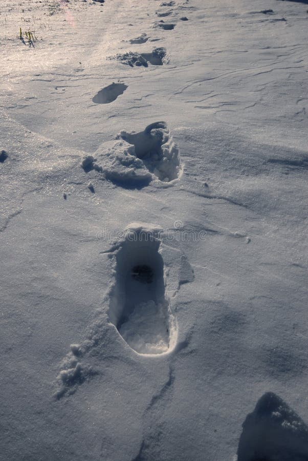 Footprints in the Snow stock photo. Image of foot, pattern - 16885368