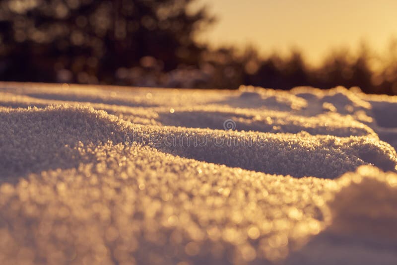Snow in the Foreground on a Frosty Winter Evening at Sunset As a ...
