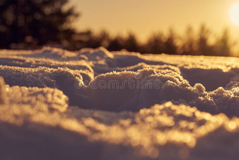 Snow in the Foreground on a Frosty Winter Evening at Sunset As a ...