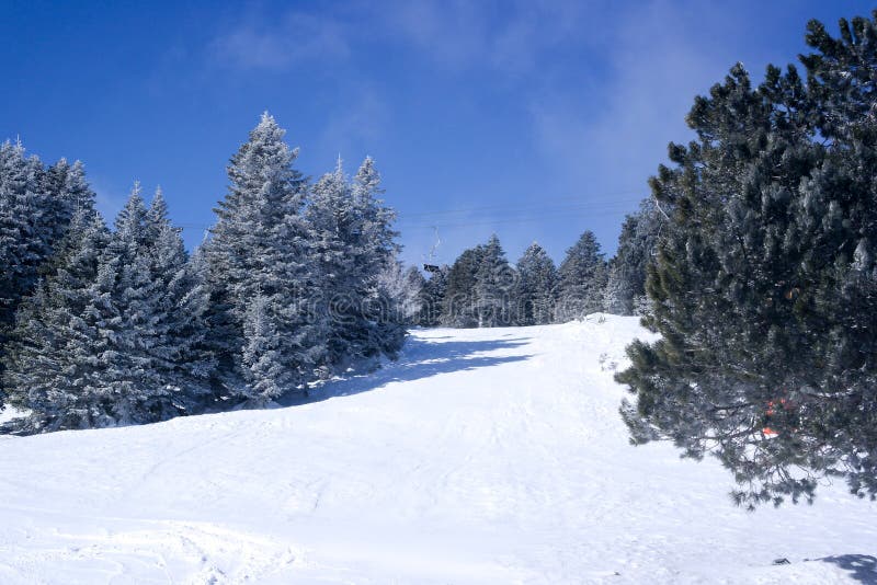 Snow, forest and blue sky stock photo. Image of excitement - 94985492