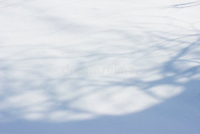 Snow with Forest Shadows Background. Stock Image - Image of scenic ...