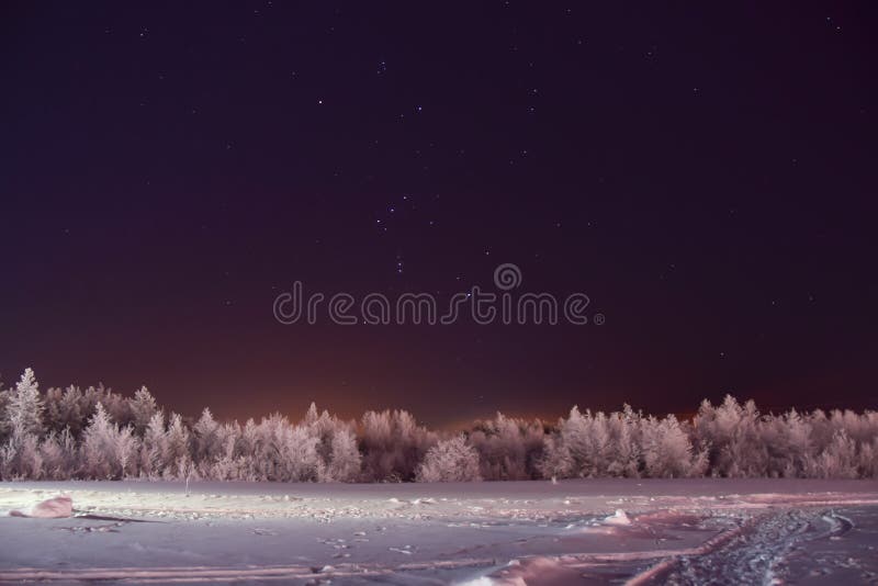 Snow Forest Stars stock image. Image of stars, night - 89147865