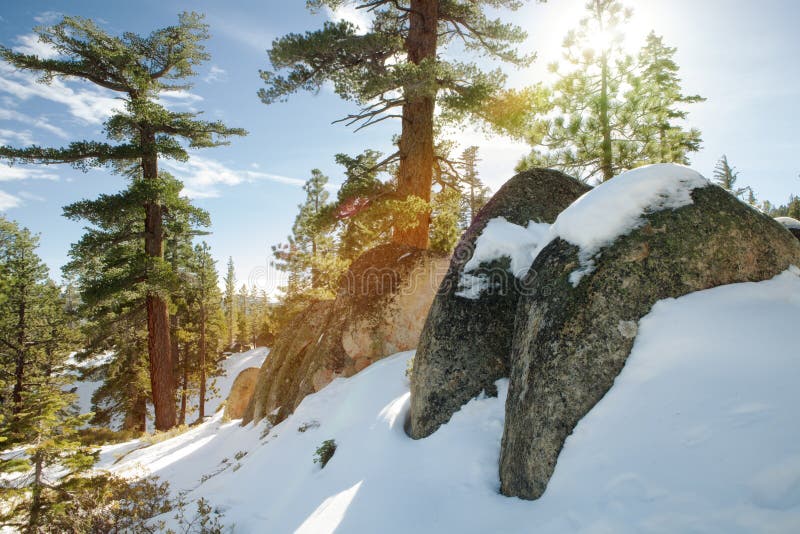 Snow forest stock image. Image of mountains, landscape - 38629199