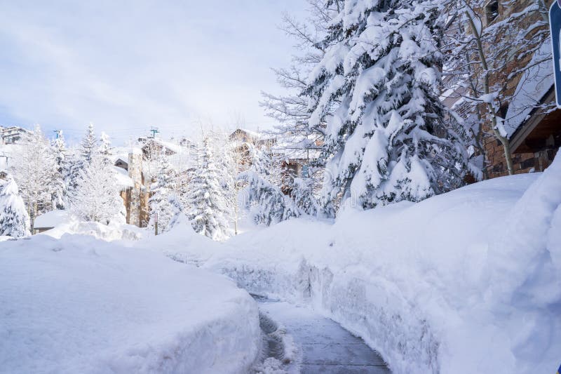 Snowing in Salt Lake City, Utah, US Stock Photo - Image of snow, dried ...