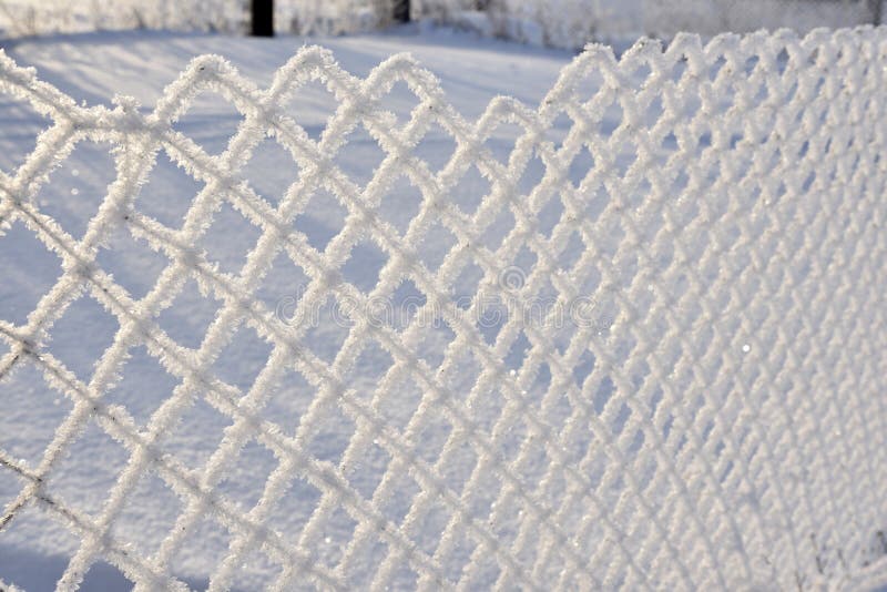Snow Frost on the Iron Fence of the Fence. Mesh Netting Stock Image ...