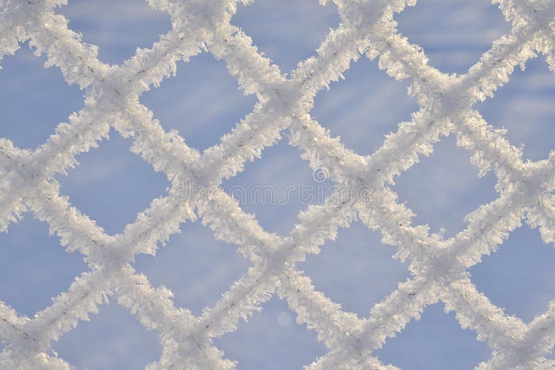 Snow Frost on the Iron Fence of the Fence. Mesh Netting Stock Photo ...