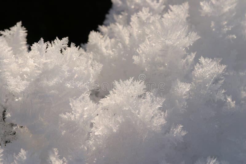 Snow and frost stock image. Image of shape, frosty, grass - 34247341