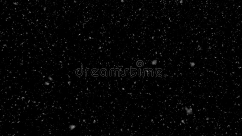 Snow Gently Falling on a Black Background 4K Loop Stock Footage - Video ...