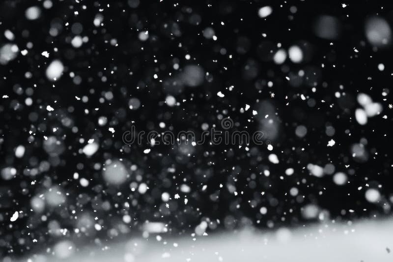 Snow is Gently Falling in the Dark Night Sky on a Black Background ...