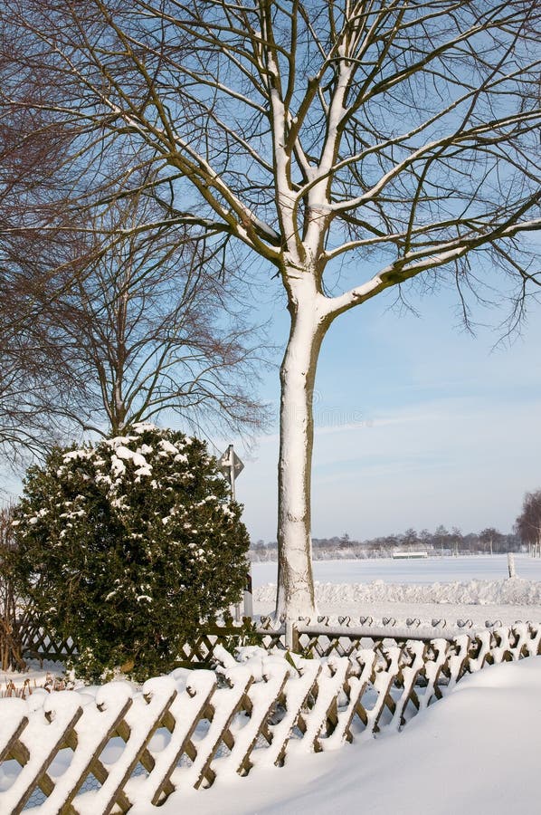 Snow in germany stock image. Image of germany, white - 37250717