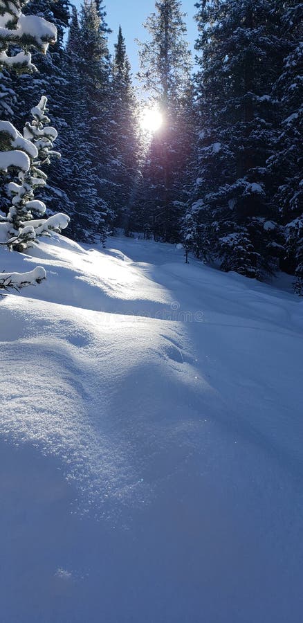 Snow Glow stock photo. Image of sunlight, snow, glow - 137255326