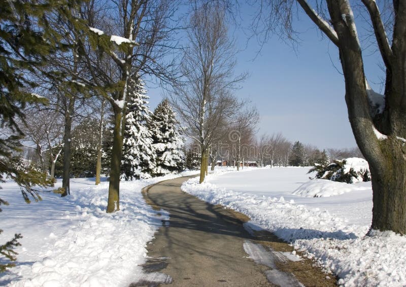 Snow on the Golf Cart Path stock photo. Image of fairway - 8647836