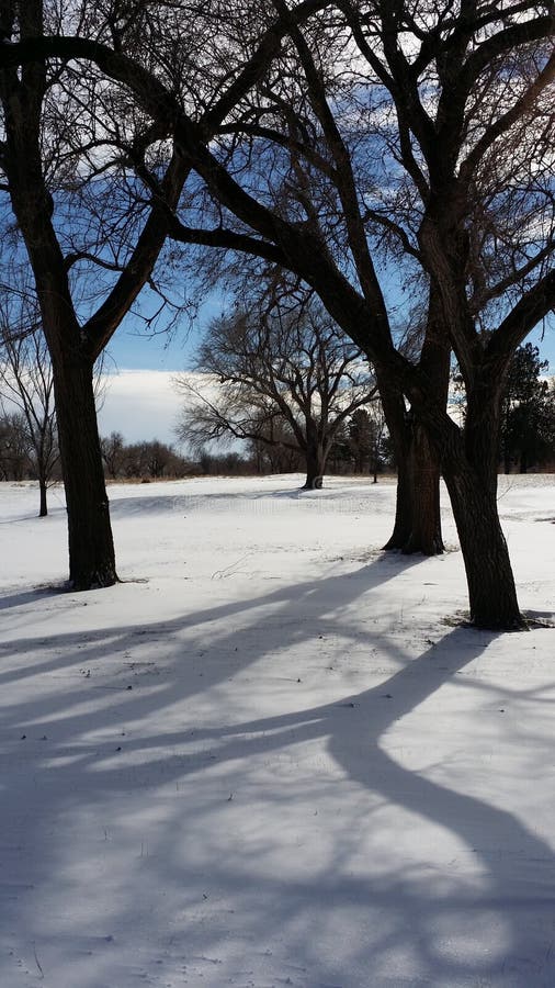 Snow in a Golf Course stock image. Image of sunlight - 98658581