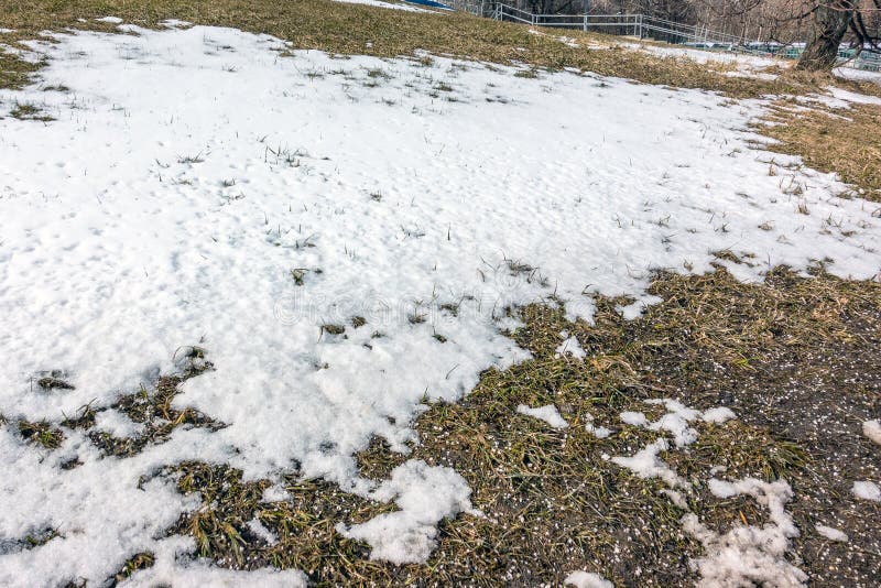 The snow is almost gone. stock photo. Image of macro - 89831134