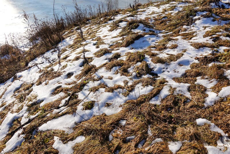 The Snow is almost Gone. through the Thaw of Snow Dry Grass is Visible ...