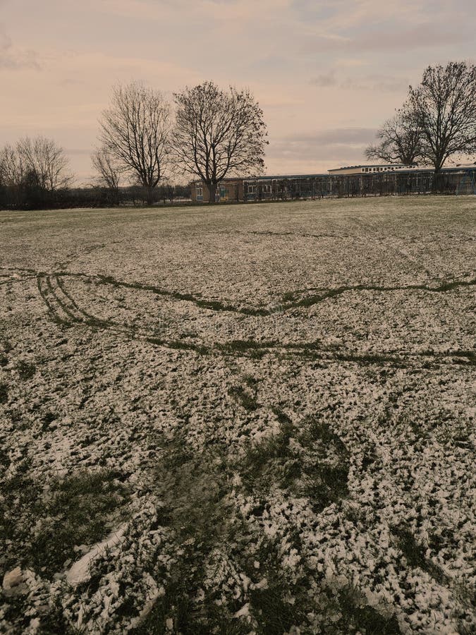Snow on the grass field stock image. Image of landscape - 206178243