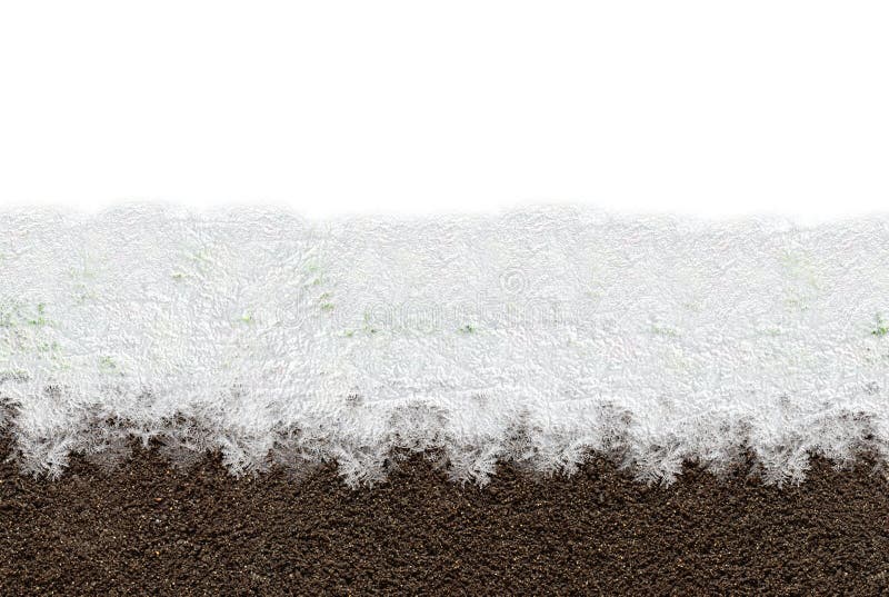 Soil Snow Trailway In The Forest In Winter Stock Image - Image of ...