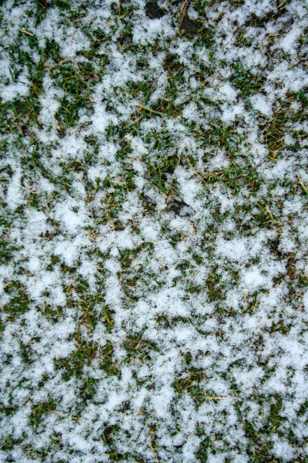 Snow And Grass Texture Seamless White Green Snowy Grass Texture Stock