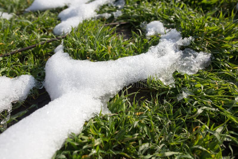 Snow on the green grass stock image. Image of bright - 108945905